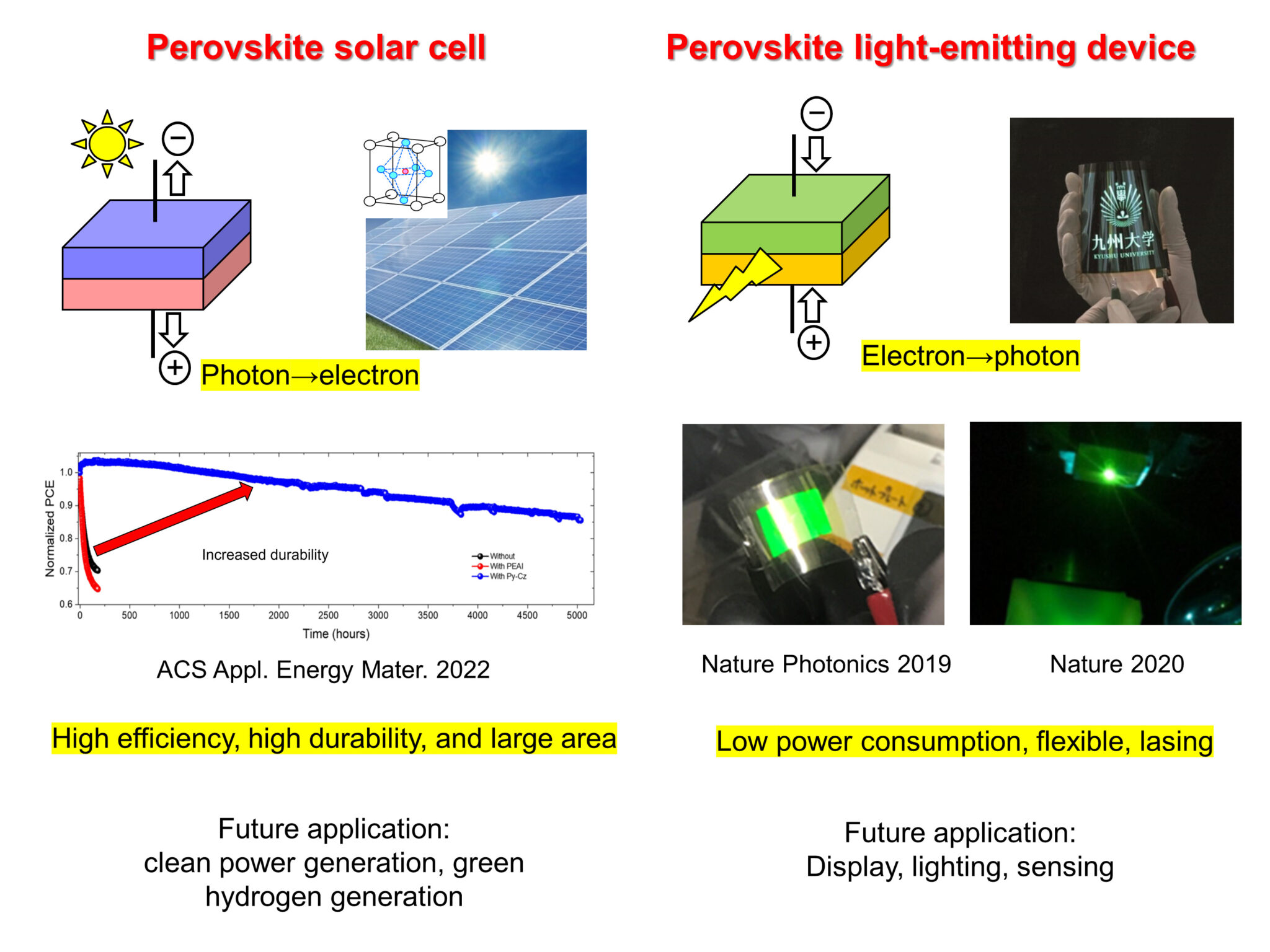 Reseach | Matushima LAB.